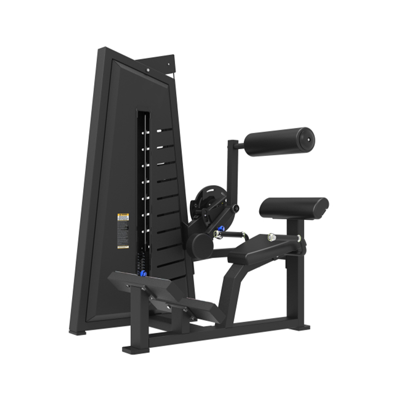 HLD-MK1031 Commercial Pin Loaded Back Extension Gym Equipment - Ningjin ...