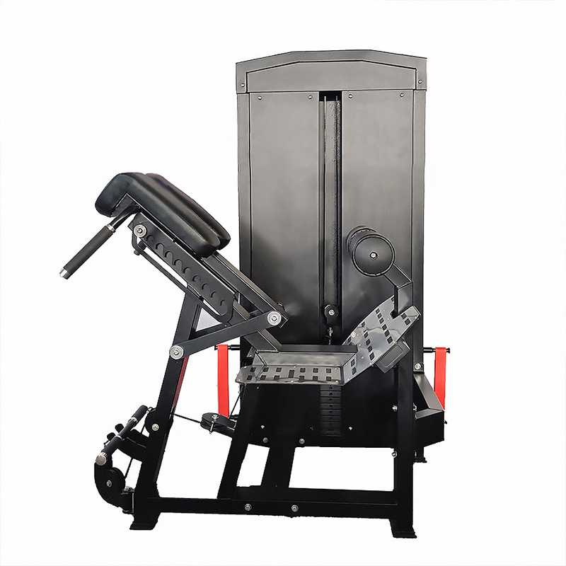 HLD-BB11 Commercial Strength Pin Load Back Extension Gym Equipment ...