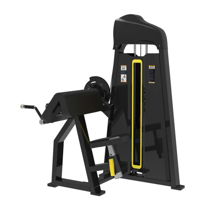 HLD-PX1017 Commercial Pin Loaded Camber Biceps Curl Machine Gym ...