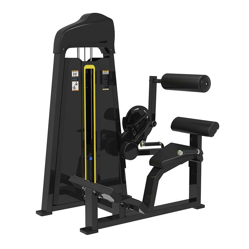 HLD-PX1019 Commercial Pin Loaded Seated Hyperextension Back Extension ...